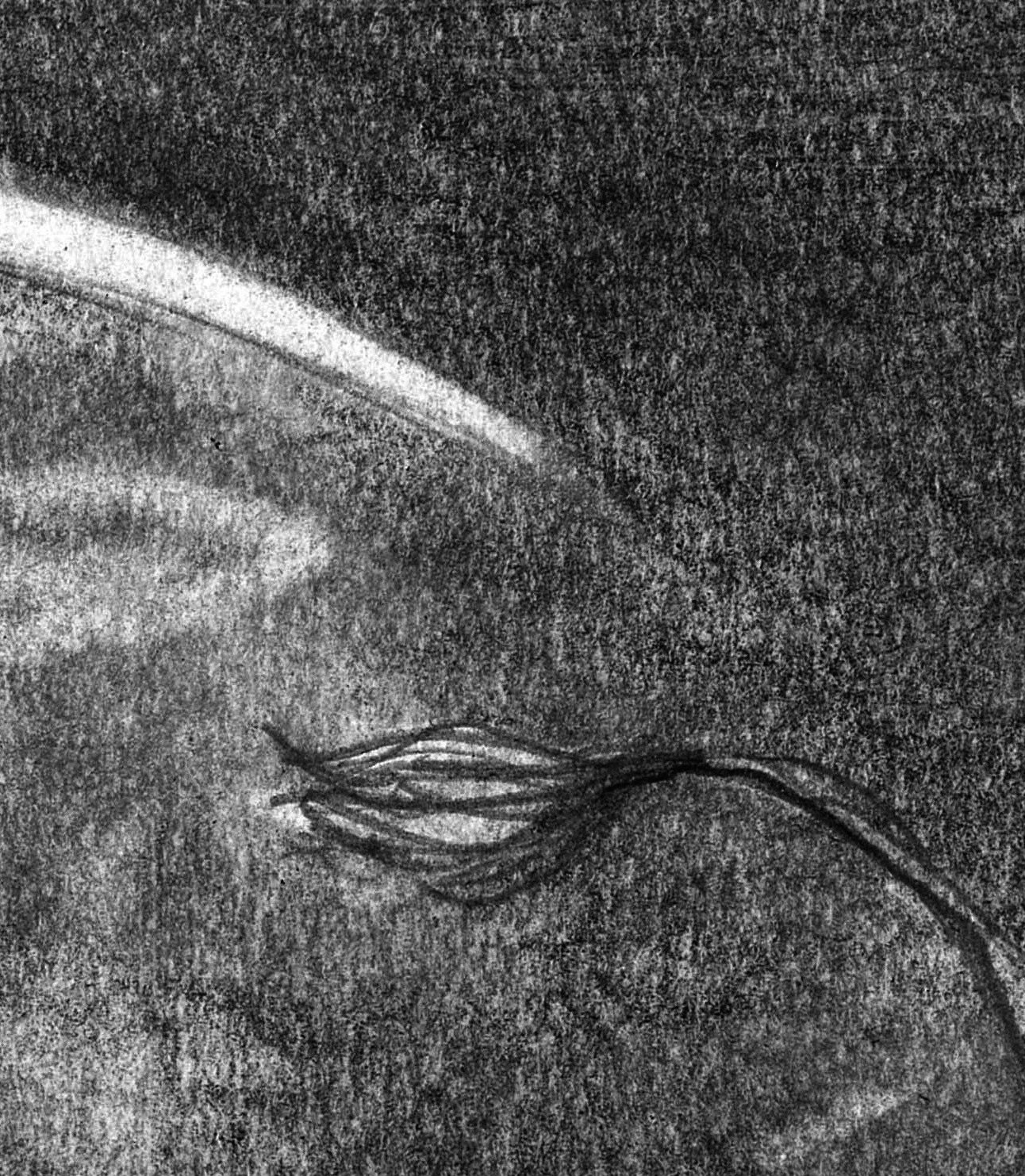 Pencil Drawing Print - Over the Moon - Day 290 - Etsy