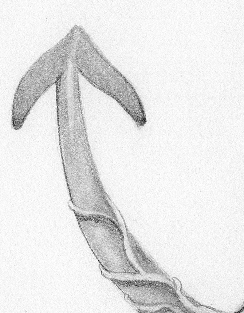 Unbreakable Anchor Pencil Drawing Print - Etsy