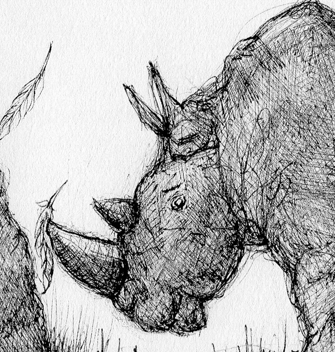 Rhino Stories - Ink on Paper Print - Etsy