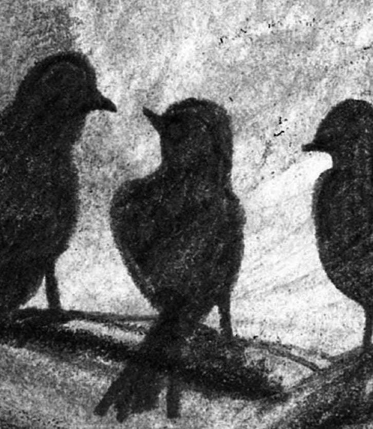 Pencil Drawing Print - Moonbirds - Day 181 - Etsy