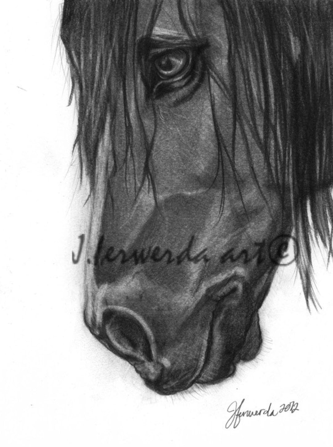 Pencil Drawing Print - Wide Eyed Wanderer - Day 320 - Etsy