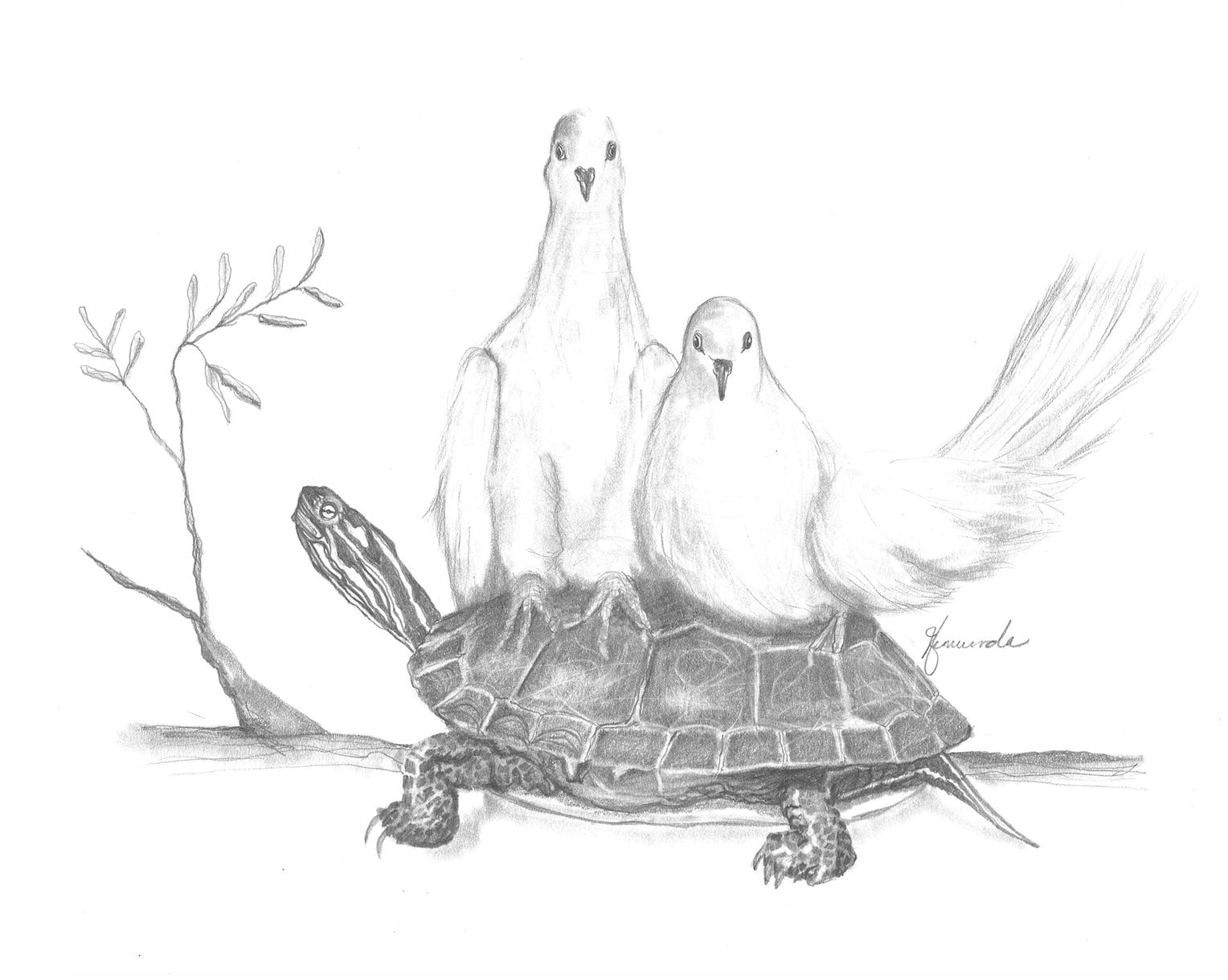 Turtle Doves Drawing