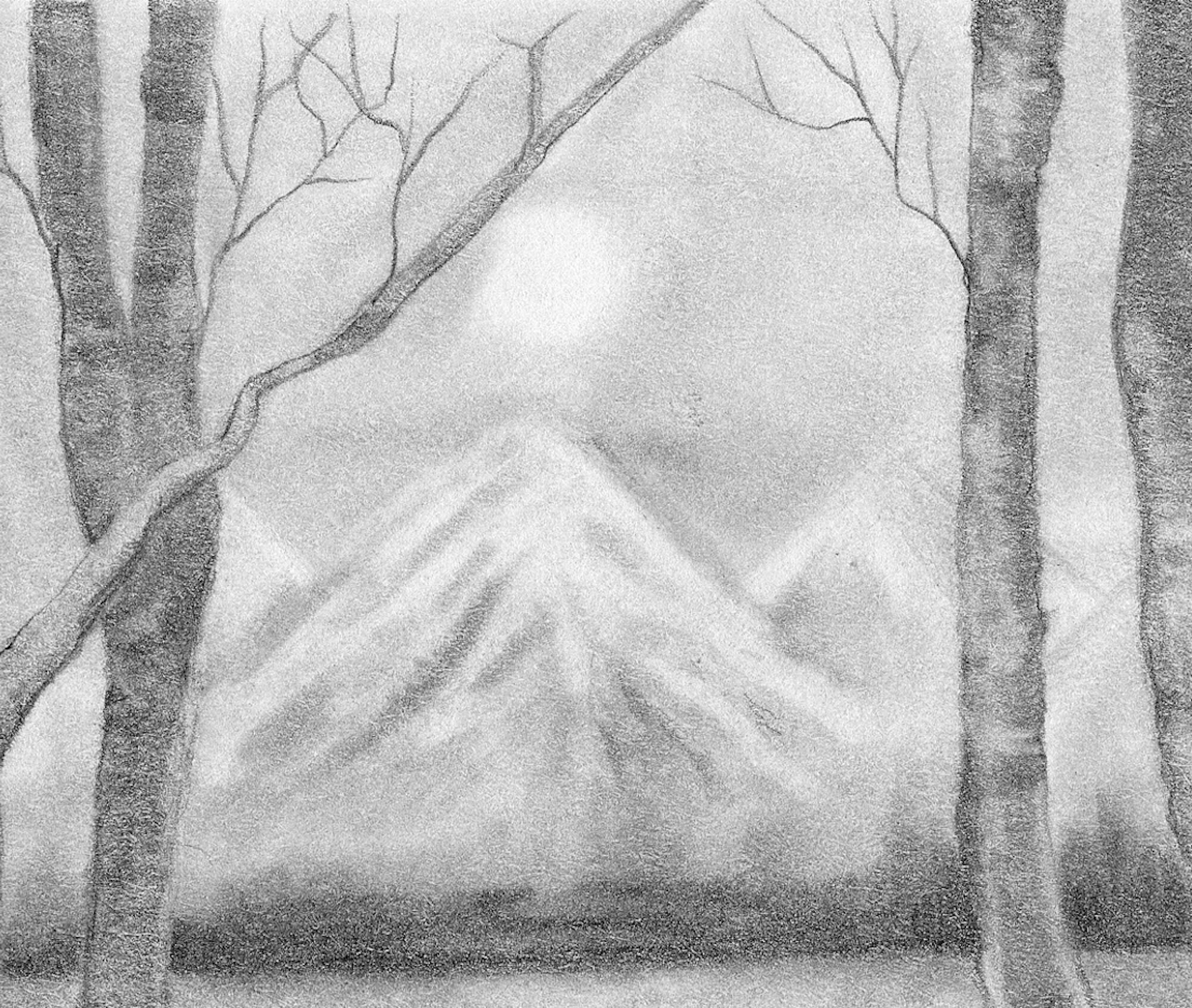 Through the Trees - Pencil Drawing Print - Etsy