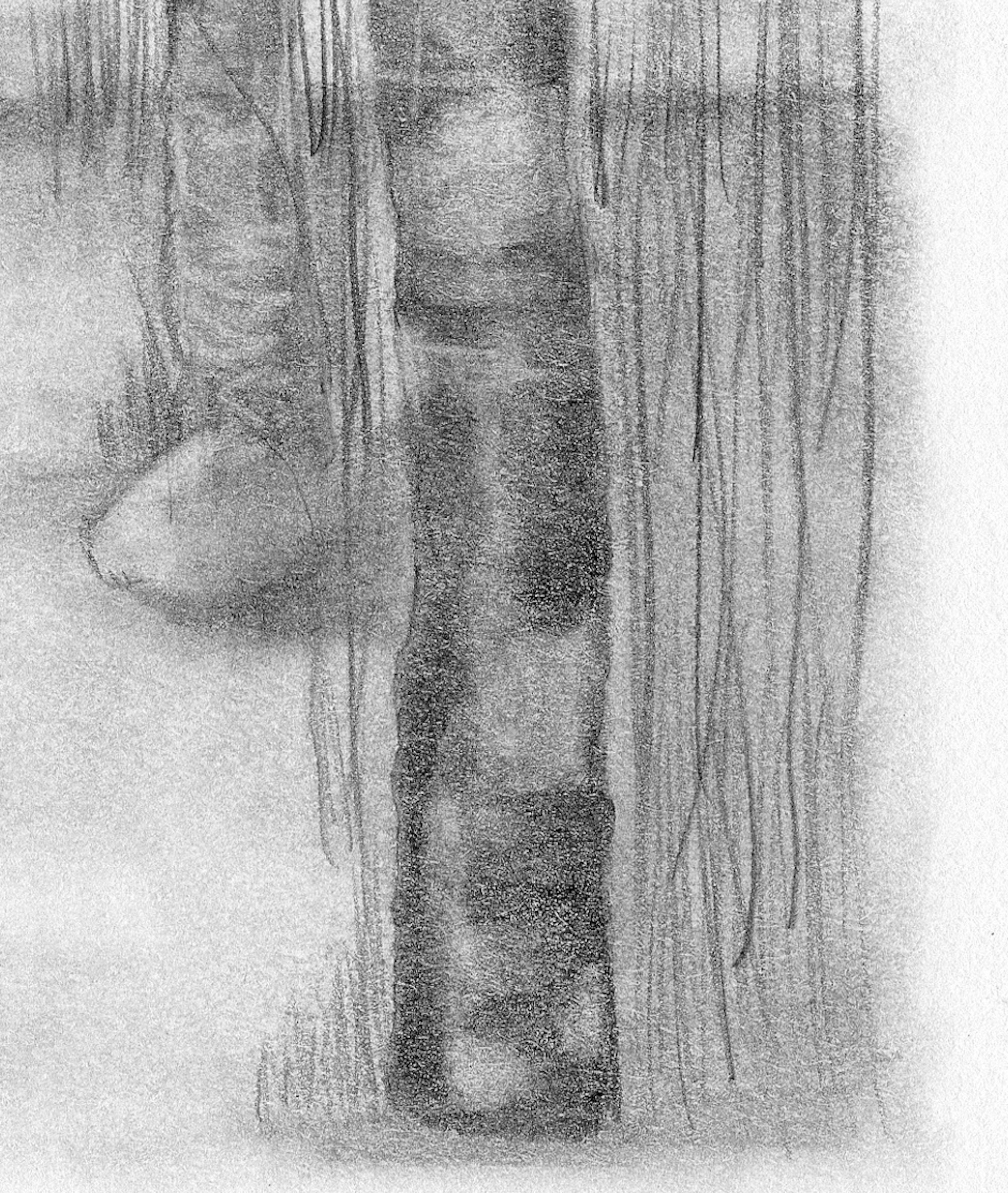 Through the Trees - Pencil Drawing Print - Etsy