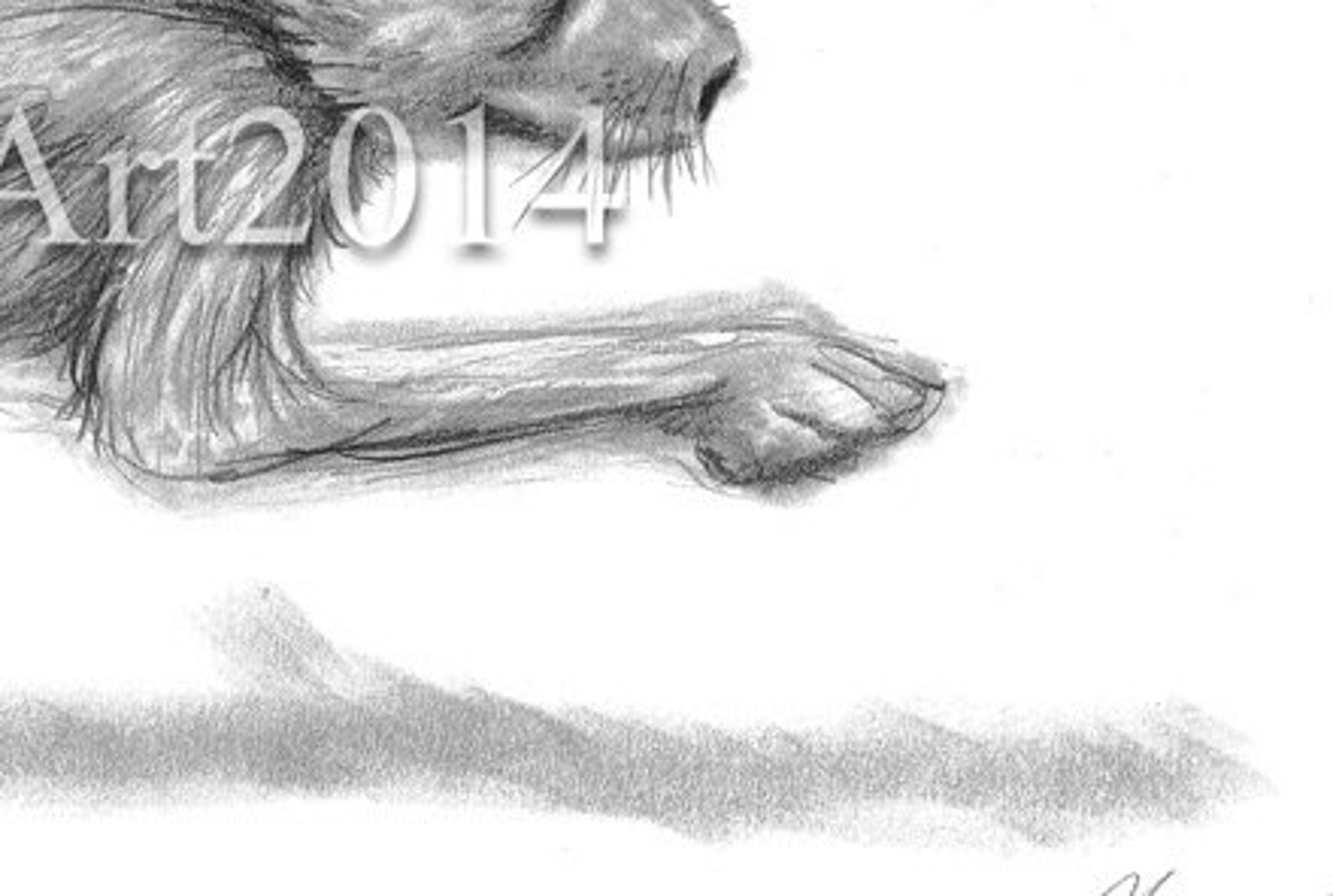 Pencil Drawing Print - the Leap - Day 180 - Etsy