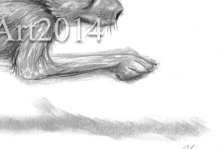 Pencil Drawing Print - the Leap - Day 180 - Etsy