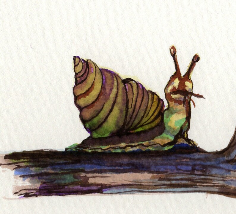 Spring Snails - Ink on Paper Print - Etsy
