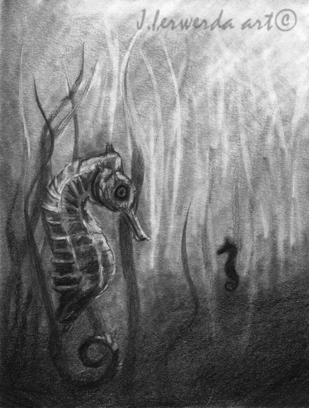 Pencil Drawing Print - the Sea Spell - Day 56 - Etsy
