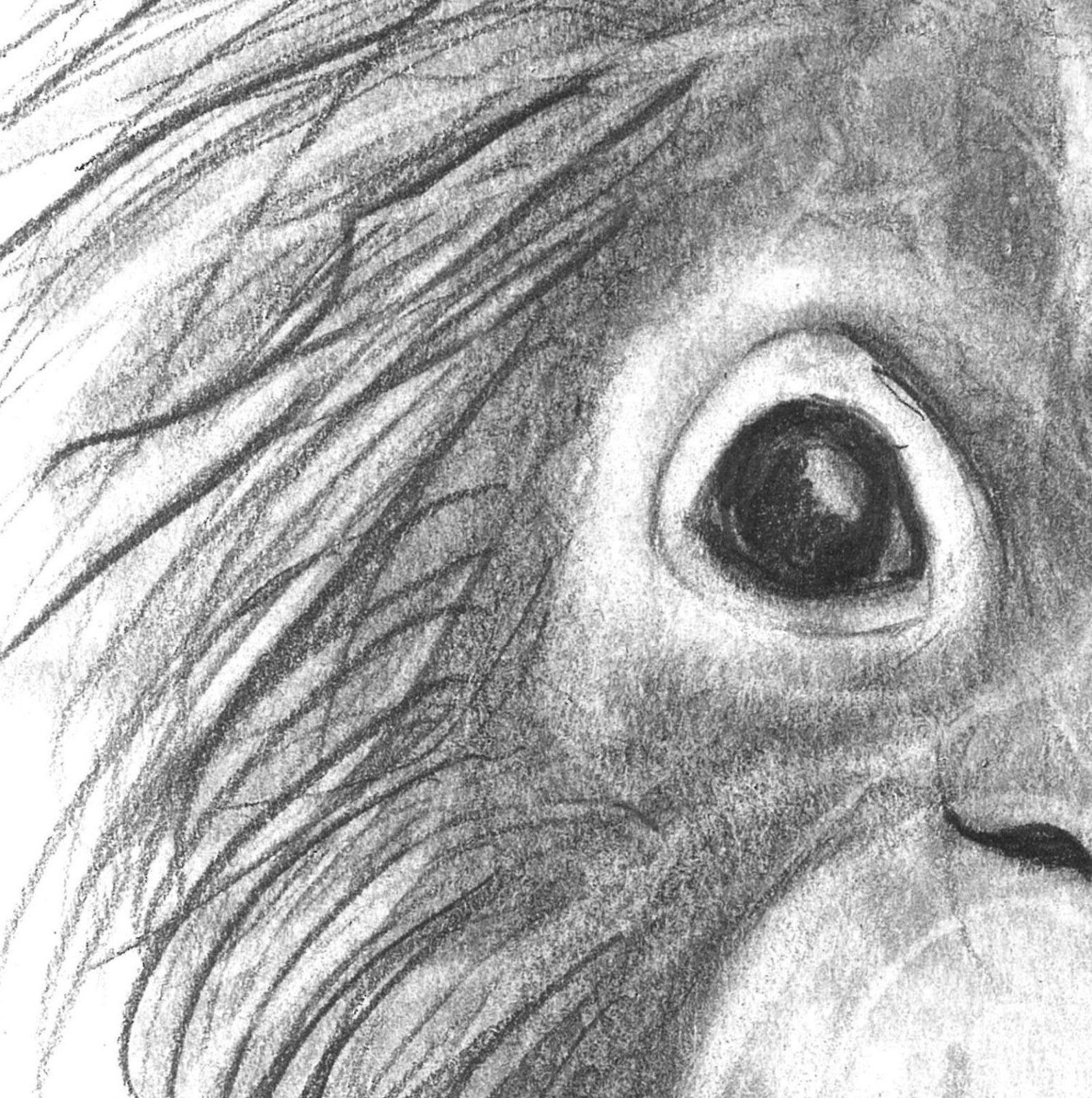 Pencil Drawing Print Slightly Strange Day 197 - Etsy