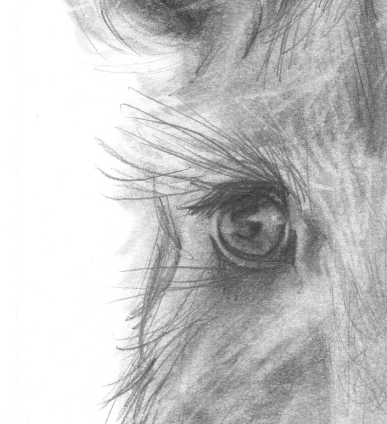 Pencil Drawing Print - Jumper - Day 270 - Etsy