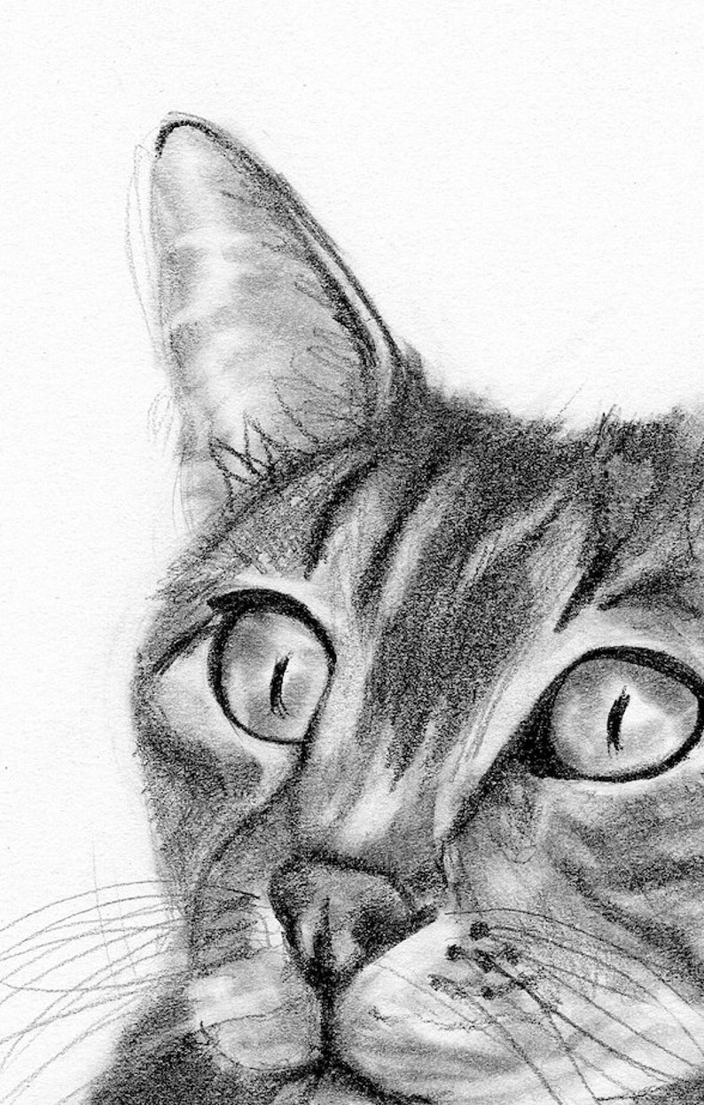 Pencil Drawing Print Day 97 - Etsy