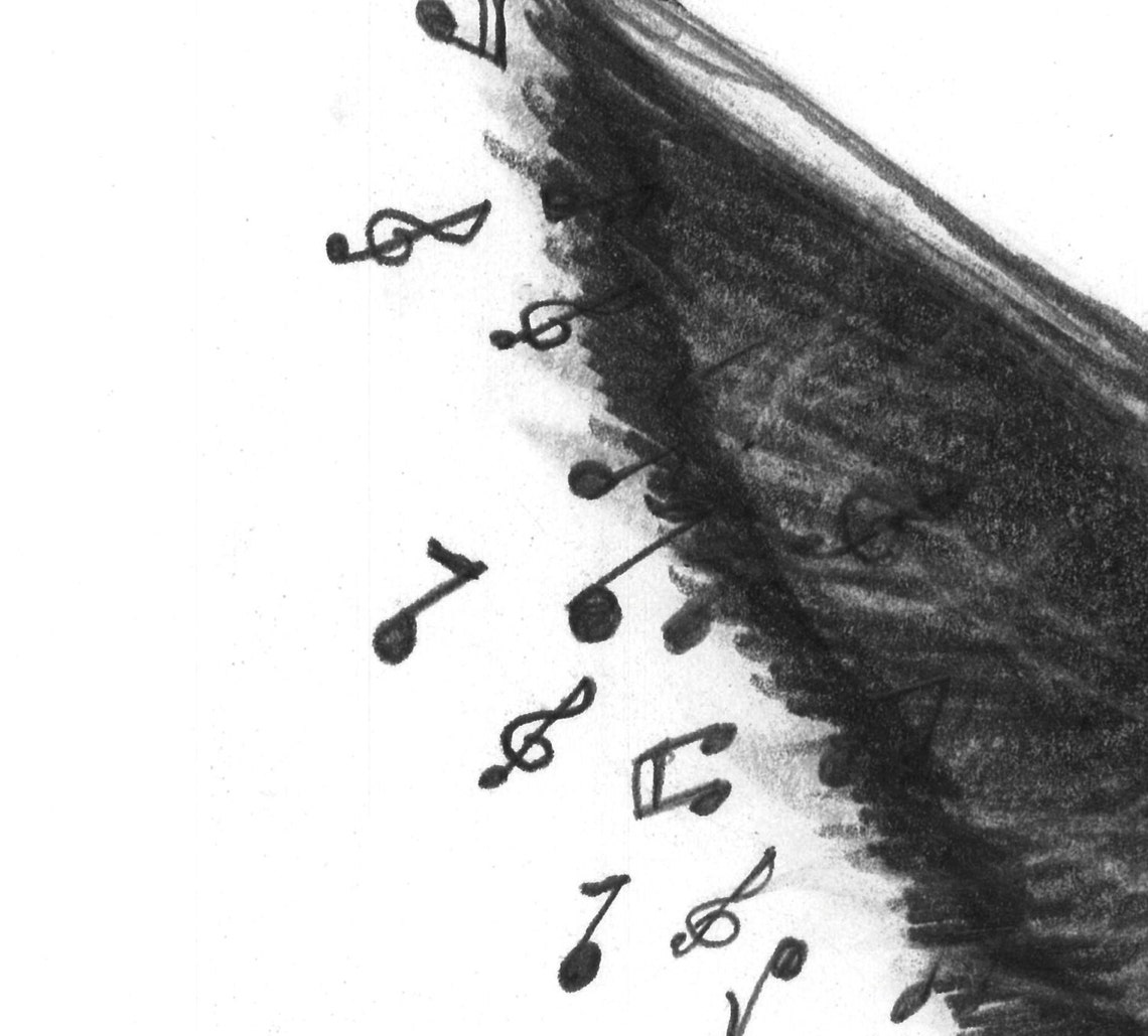 Pencil Drawing Print - Play the Music - Day 315 - Etsy