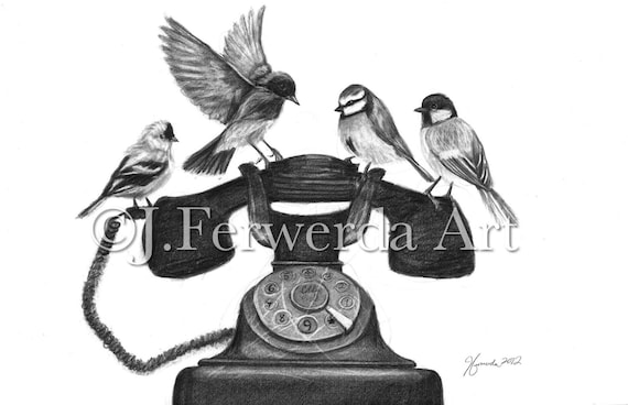 Pencil Drawing Print Four Calling Birds Day 346 - Etsy