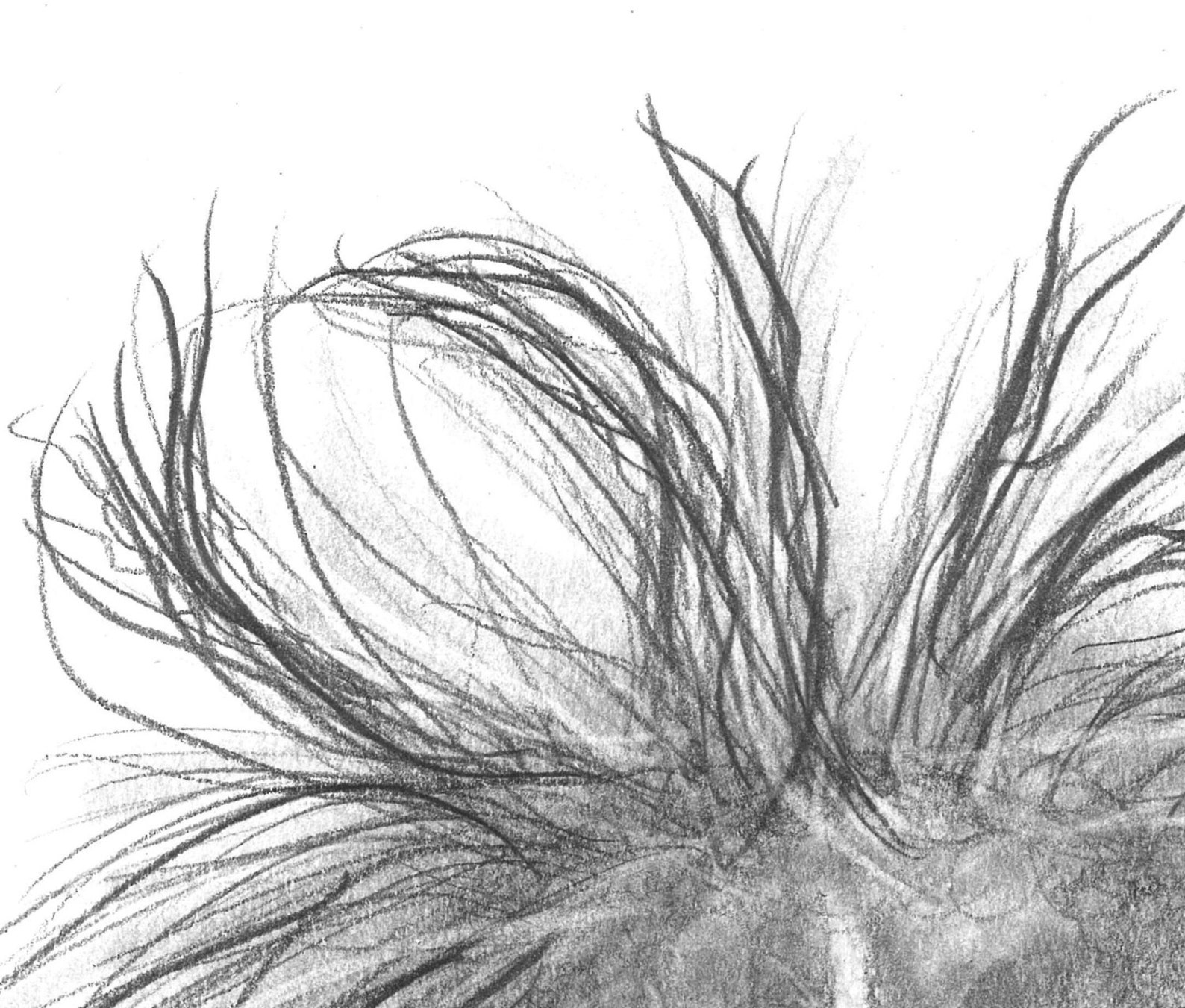 Pencil Drawing Print Slightly Strange Day 197 - Etsy