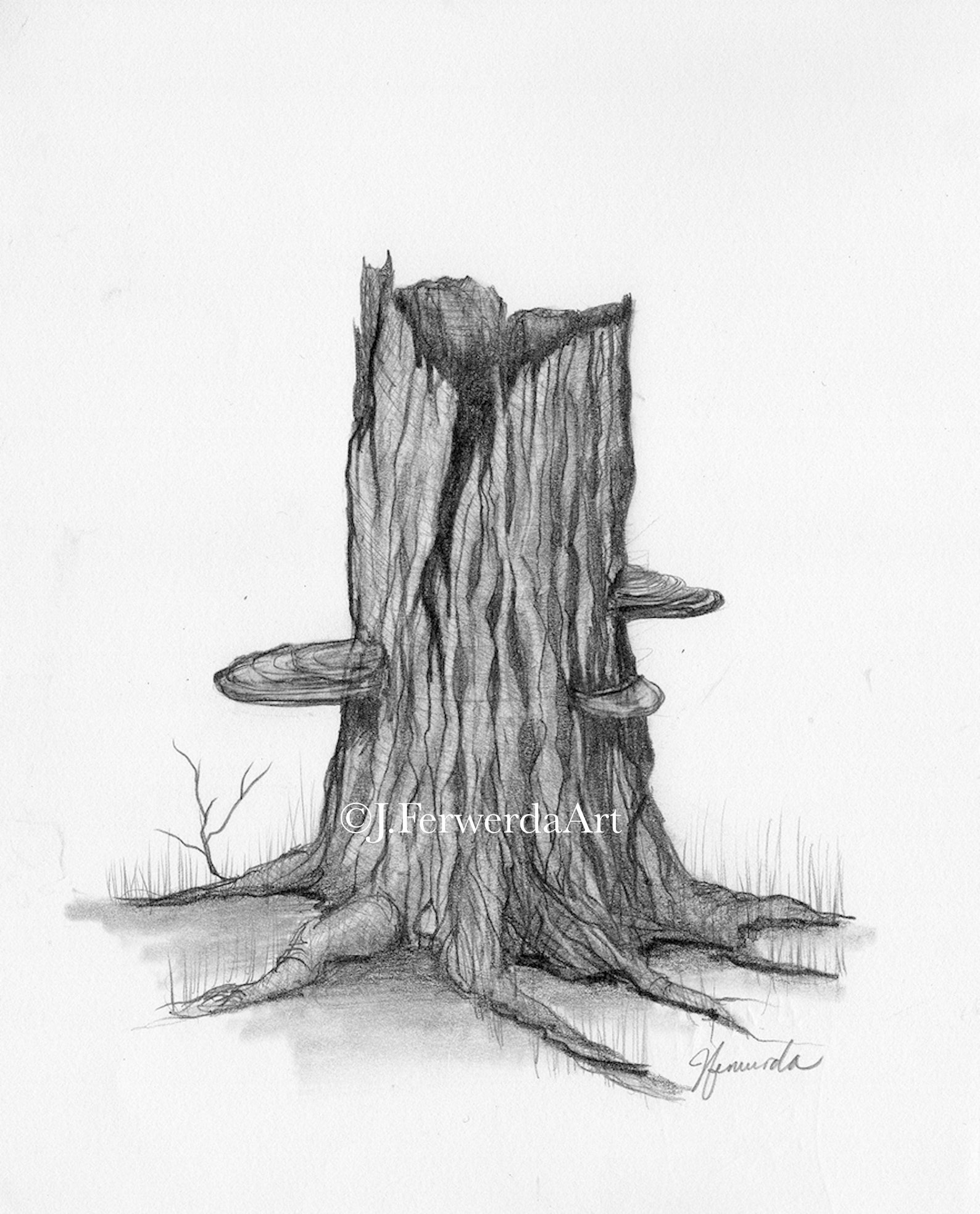 Trunk Treats - Pencil Drawing Print - Etsy