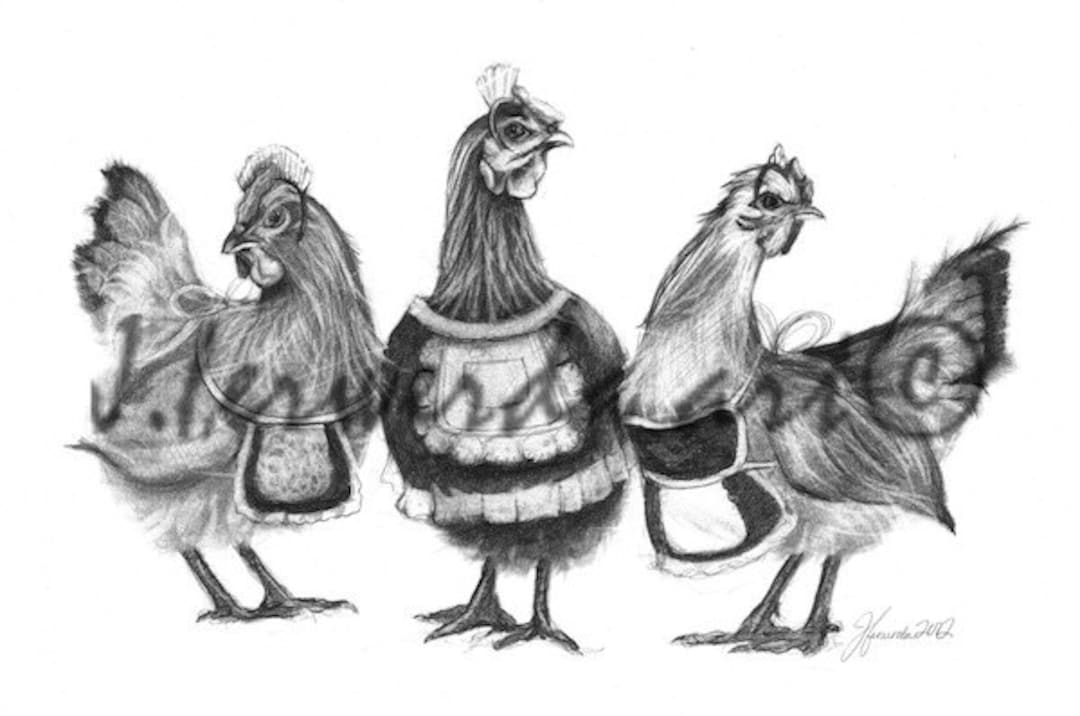 Pencil Drawing Print - Three French Hens - Day 345 - Etsy