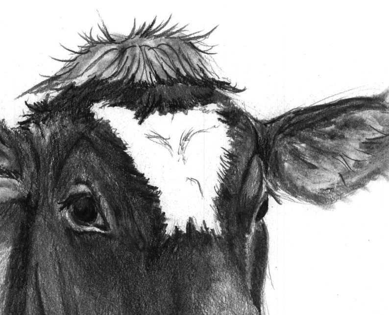 Pencil Drawing Print - Georgie - Etsy