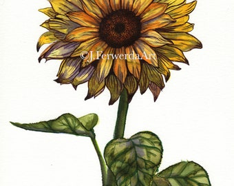 Blue on A Stem Ink on Paper Print - Etsy