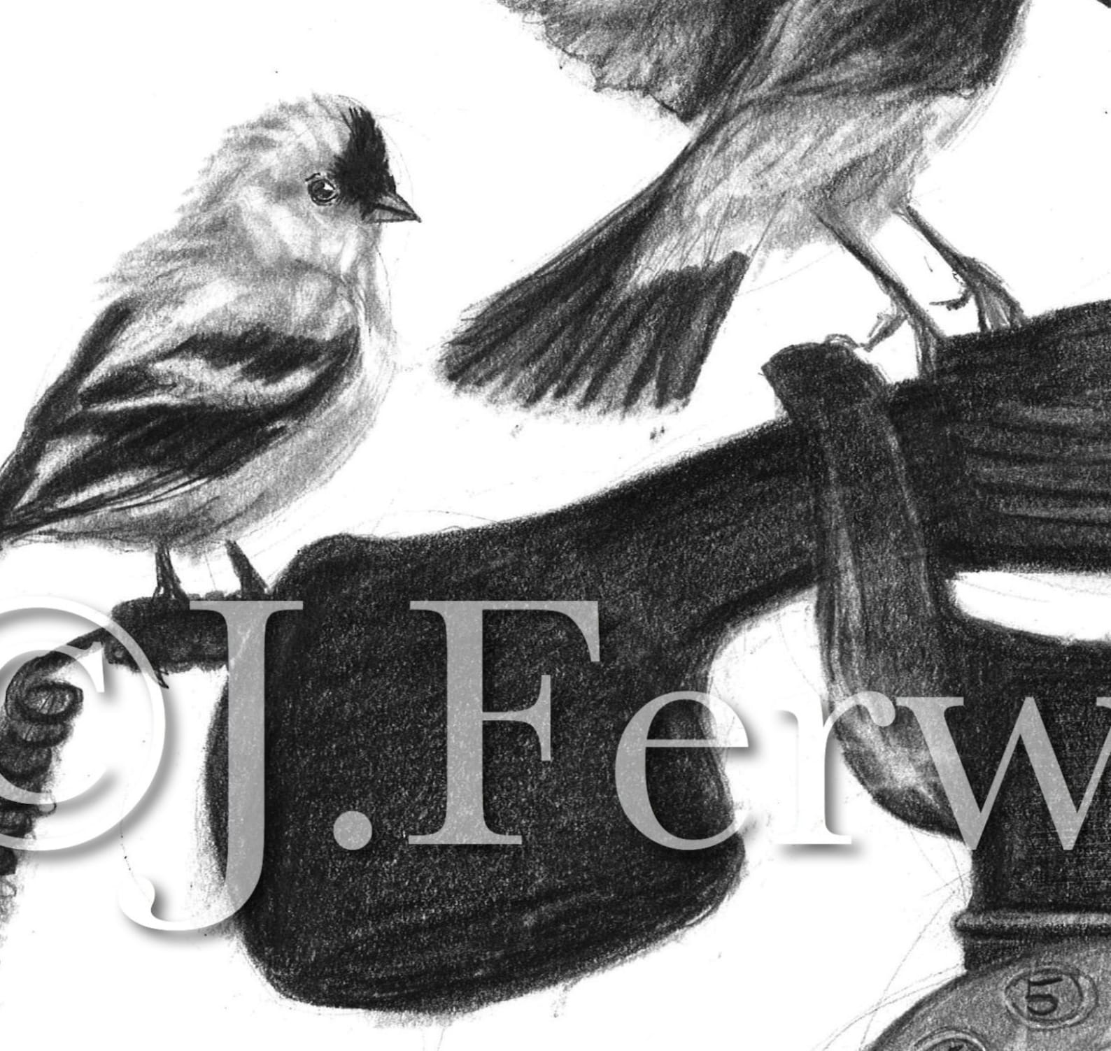 Pencil Drawing Print - Four Calling Birds - Day 346 - Etsy