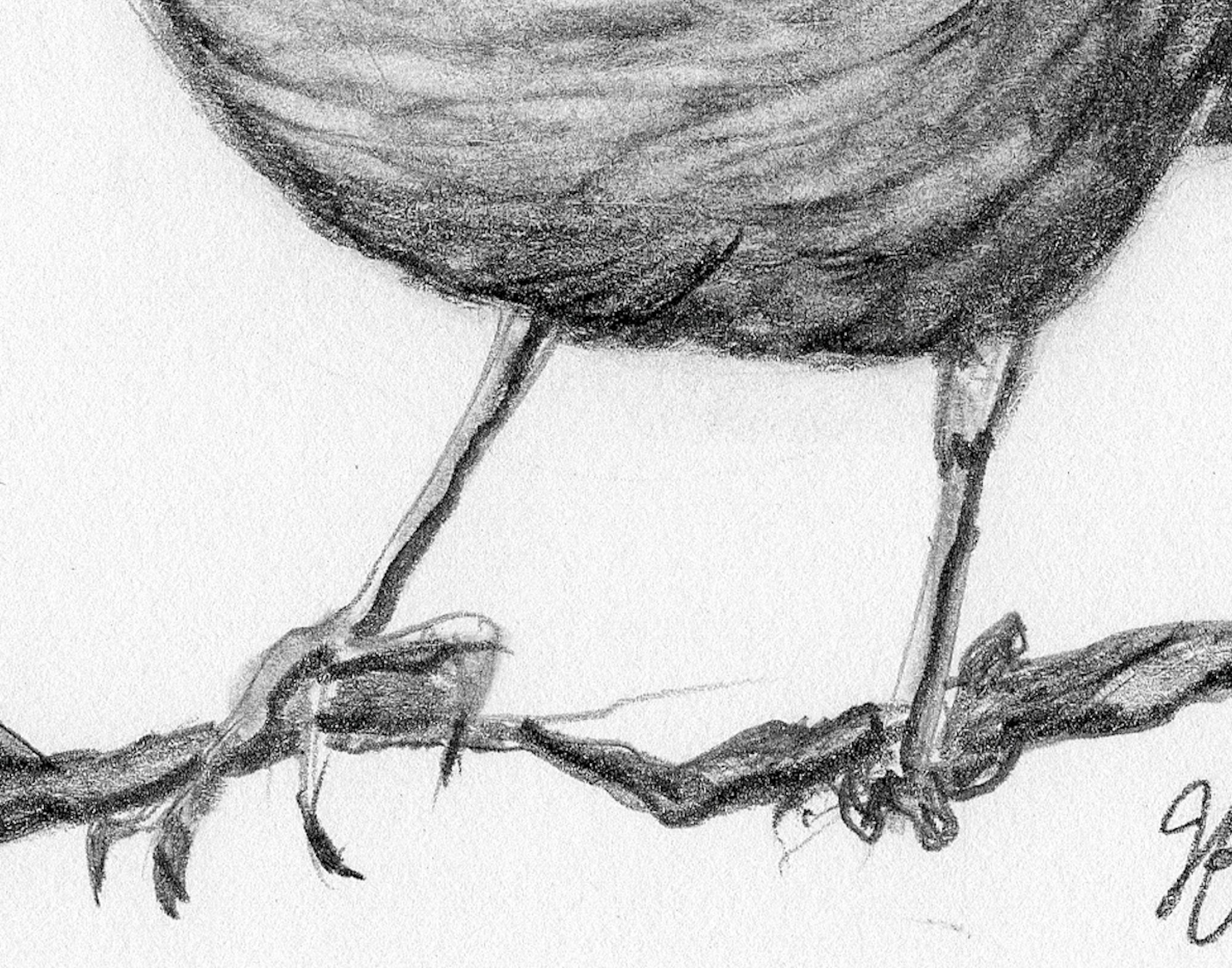 Finding You - Pencil Drawing Print - Etsy