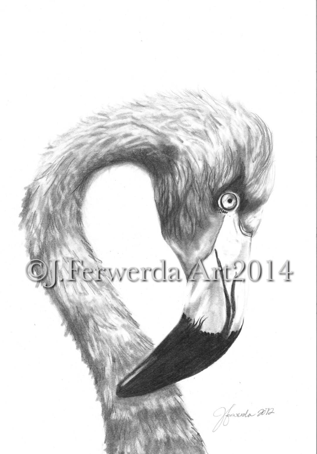 Pencil Drawing Print - the Soul Always Knows - Day 123 - Etsy