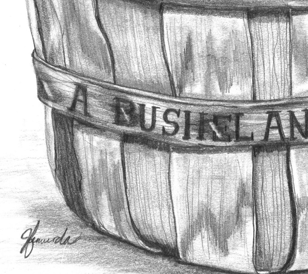 Pencil Drawing Print- Bushel and A Peck - Etsy
