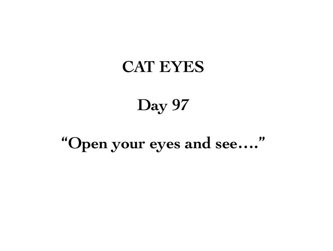 Pencil Drawing Print Day 97 - Etsy