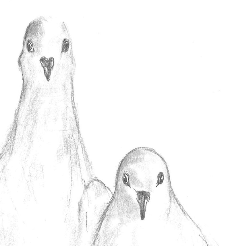 Pencil Drawing Print - Two Turtle Doves Day 344 - Etsy