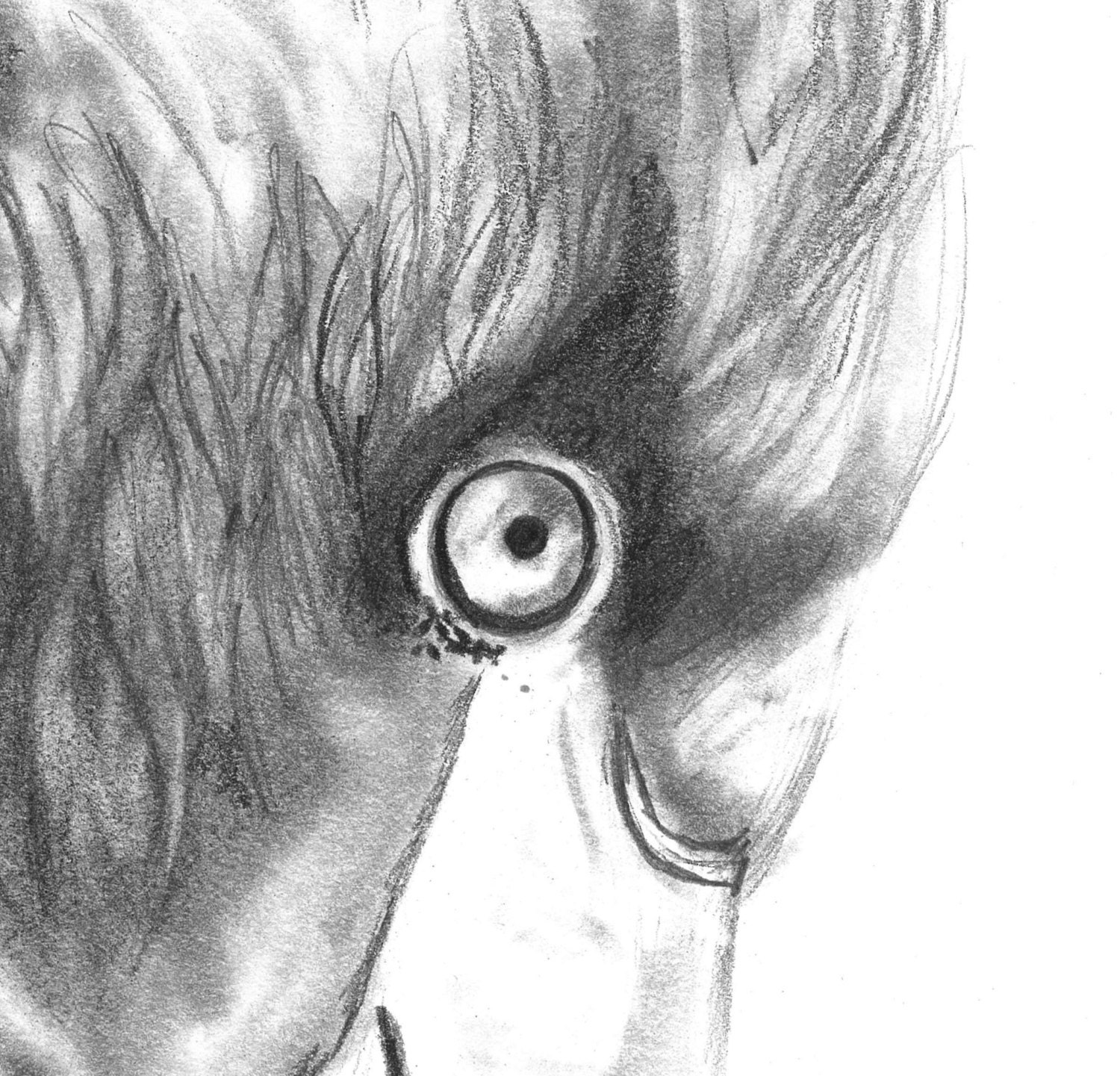 Pencil Drawing Print - the Soul Always Knows - Day 123 - Etsy