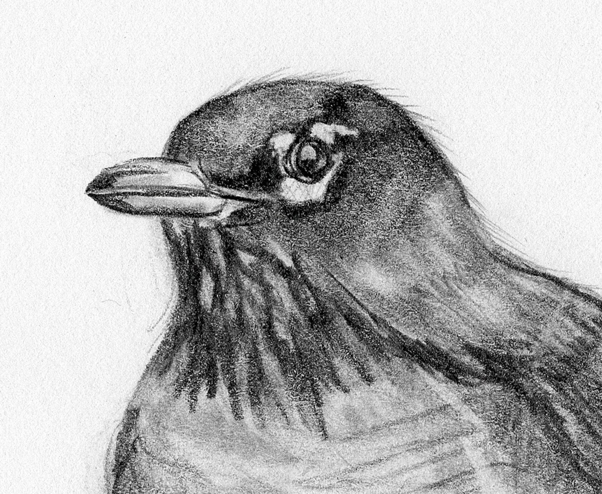 Finding You - Pencil Drawing Print - Etsy