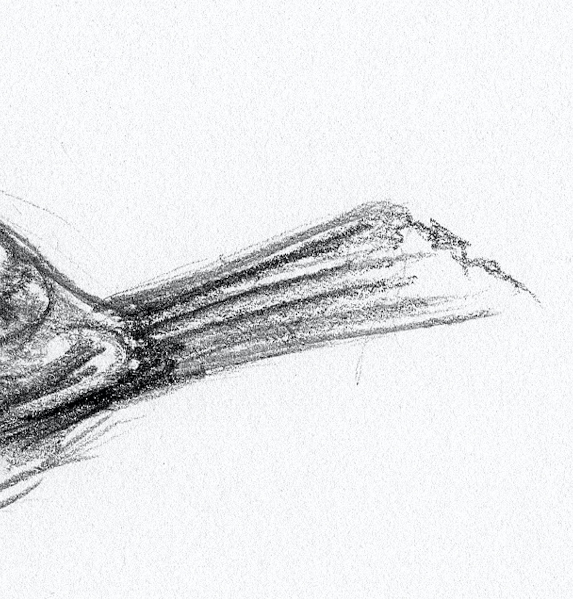 Answering Bird Day 3 - Pencil Drawing Print - Etsy