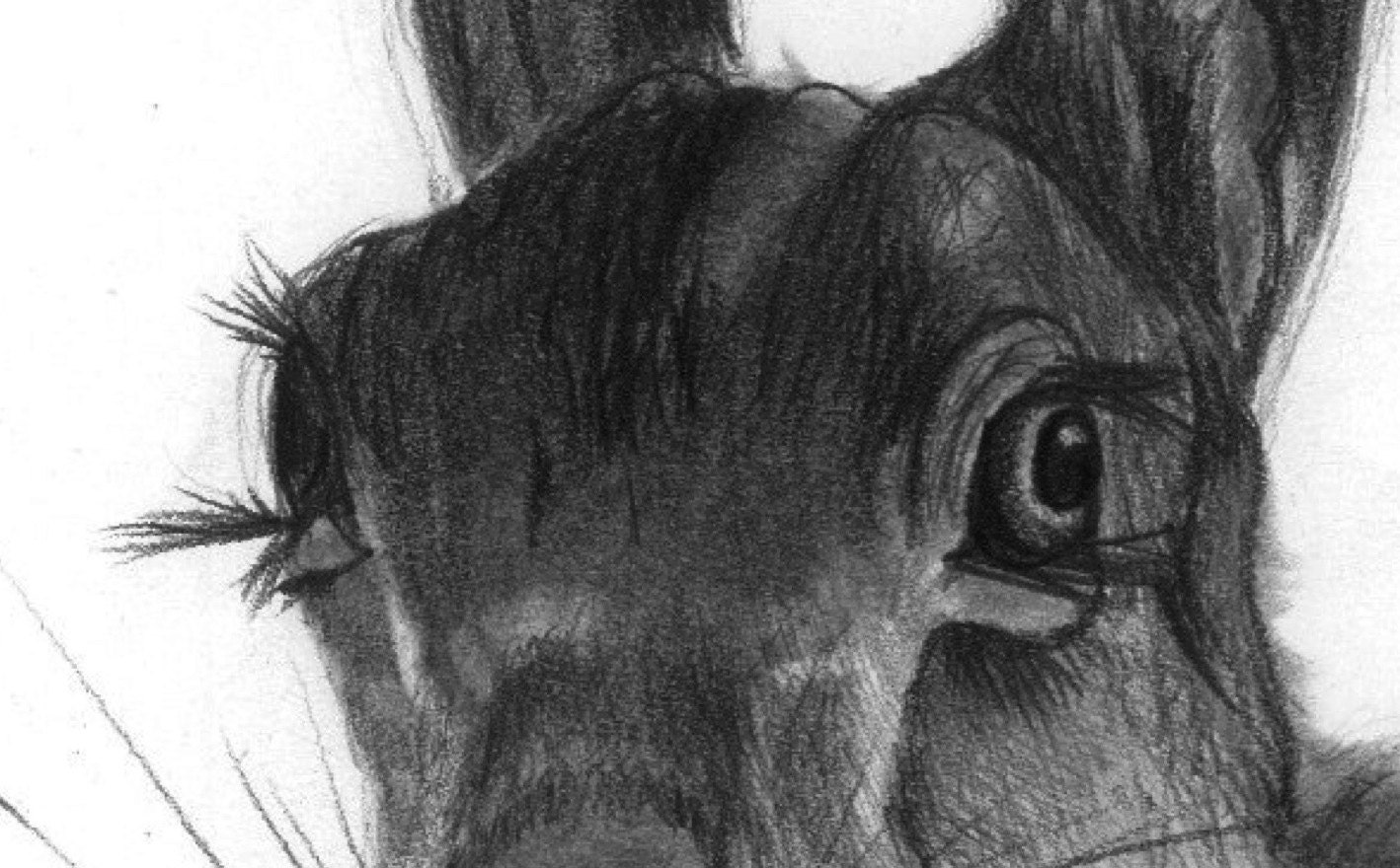 Pencil Drawing Print - Listening Ears - Day 19 - Etsy
