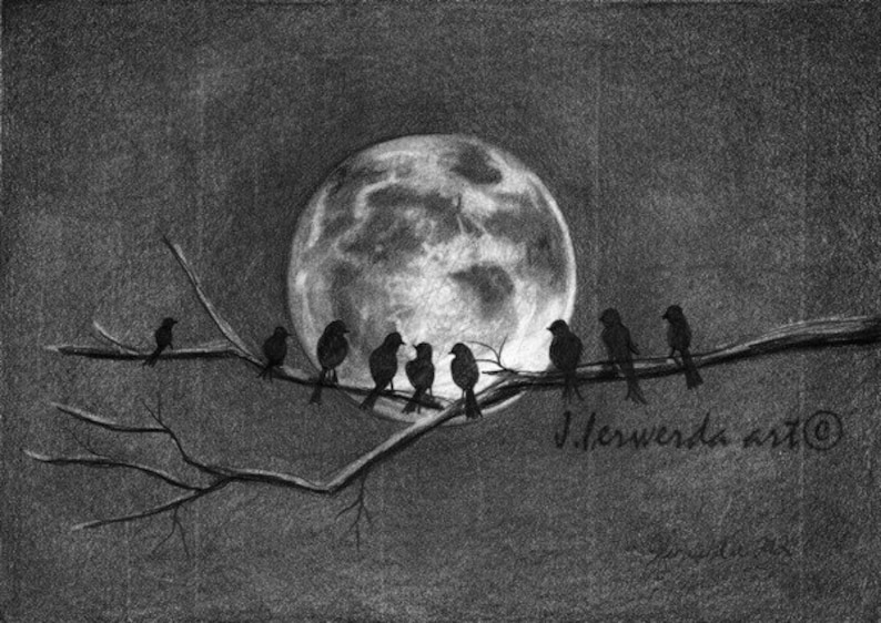 Pencil Drawing Print - Moonbirds - Day 181 - Etsy