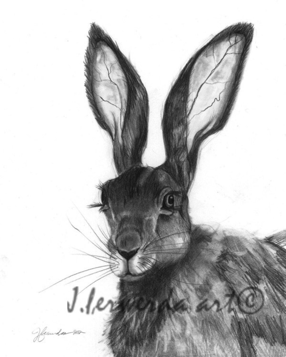 Pencil Drawing Print - Listening Ears - Day 19 - Etsy
