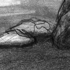 Pencil Drawing Print - Growing Into Hope - Day 199 - Etsy