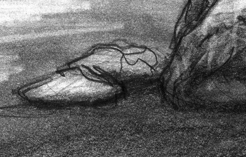 Pencil Drawing Print Growing Into Hope Day 199 | Etsy