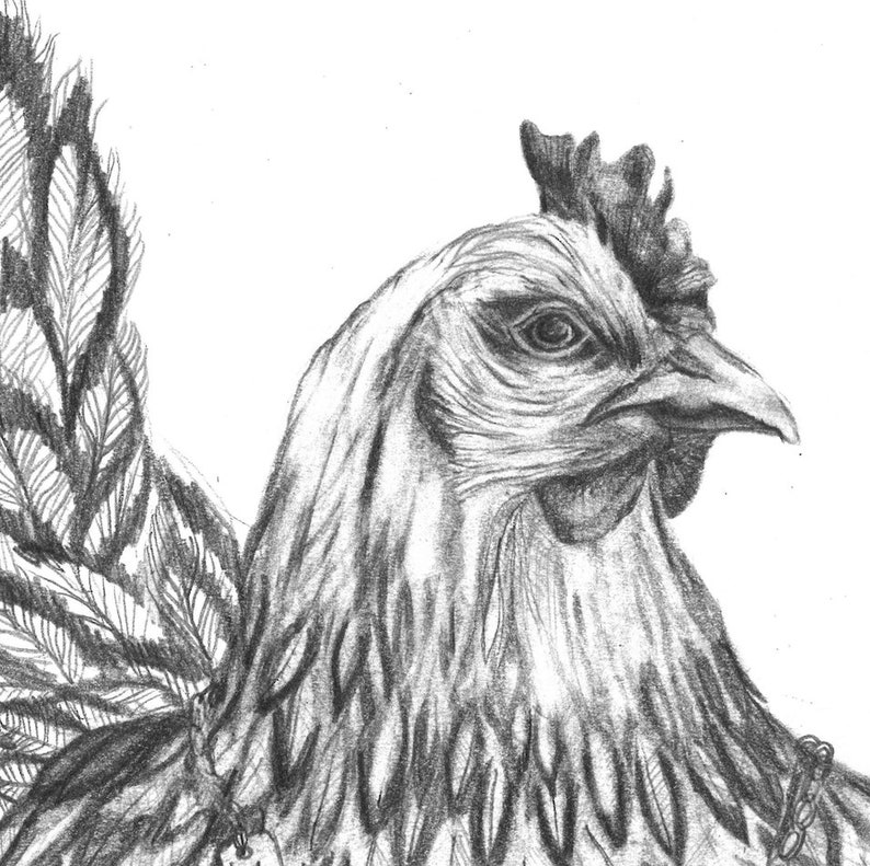 Pencil Drawing Print- Bushel and A Peck - Etsy