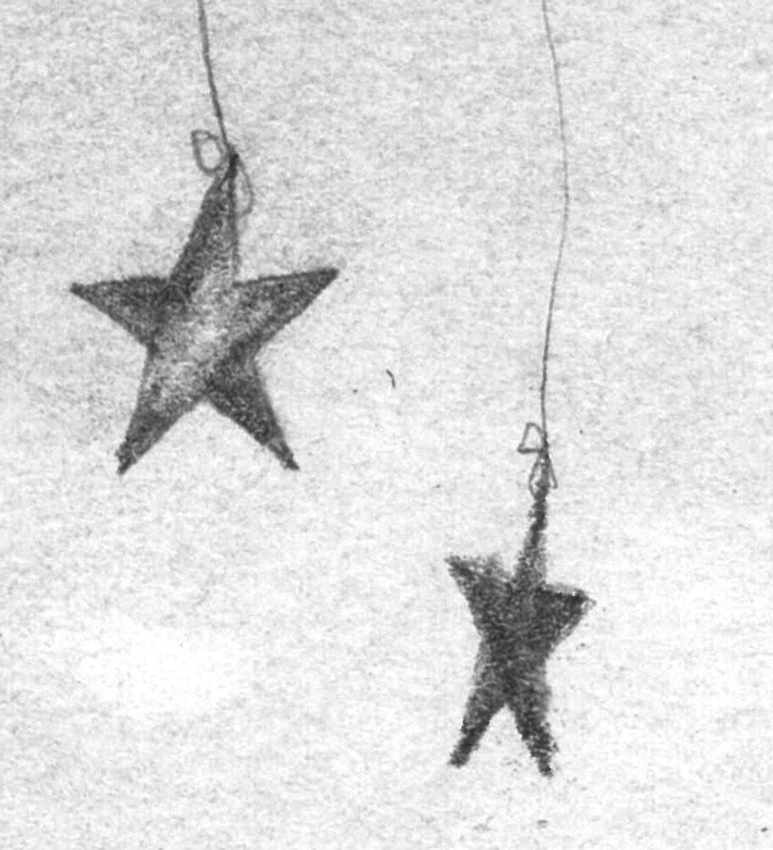 Pencil Drawing Print - Tree Stars - Day 355 - Etsy