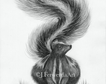 FUZZY PENCIL Woman Sitting, Pencil Drawing, Very Delicate, Copy on Acid ...