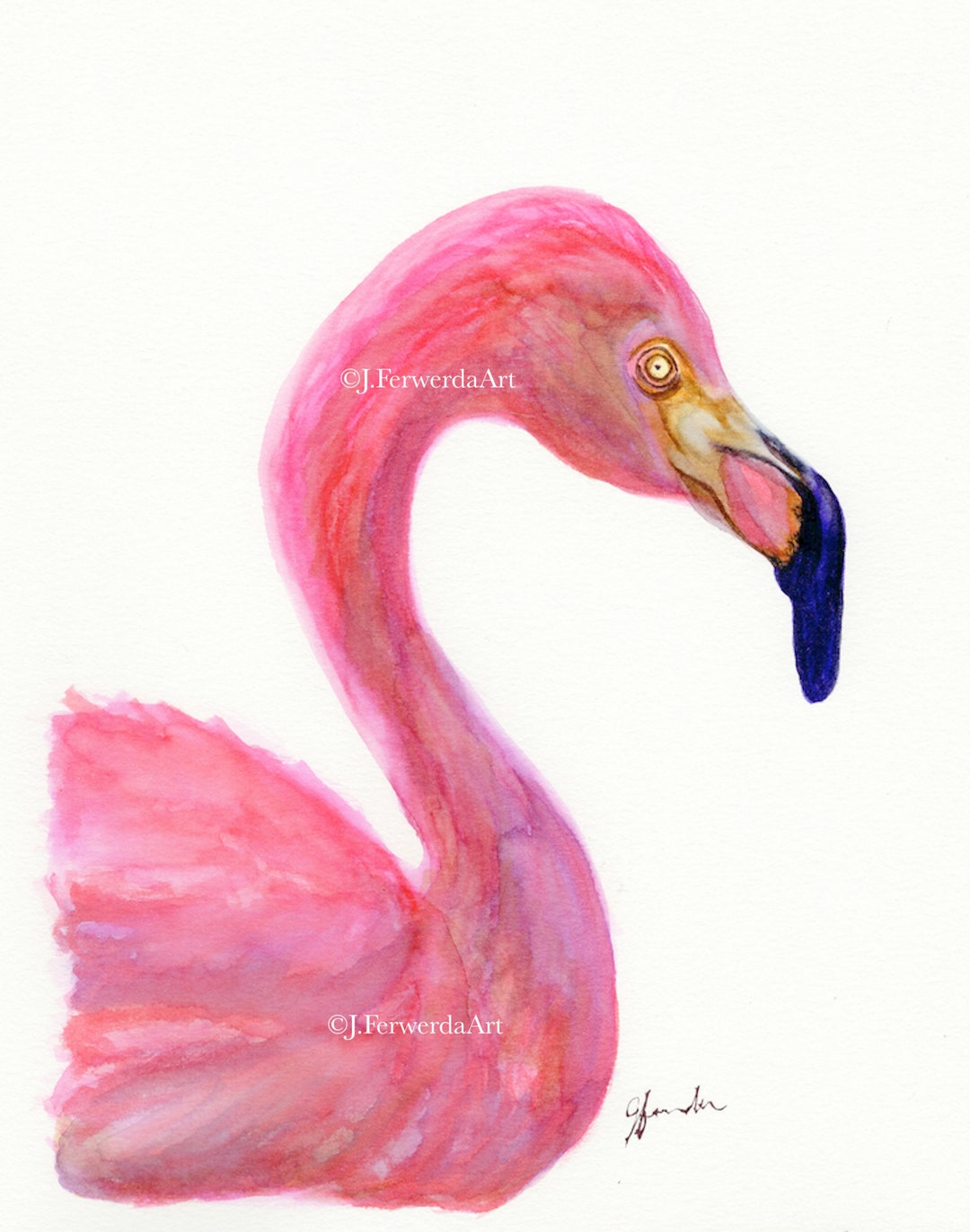 Mingo the Flamingo - Ink on Paper Print - Etsy
