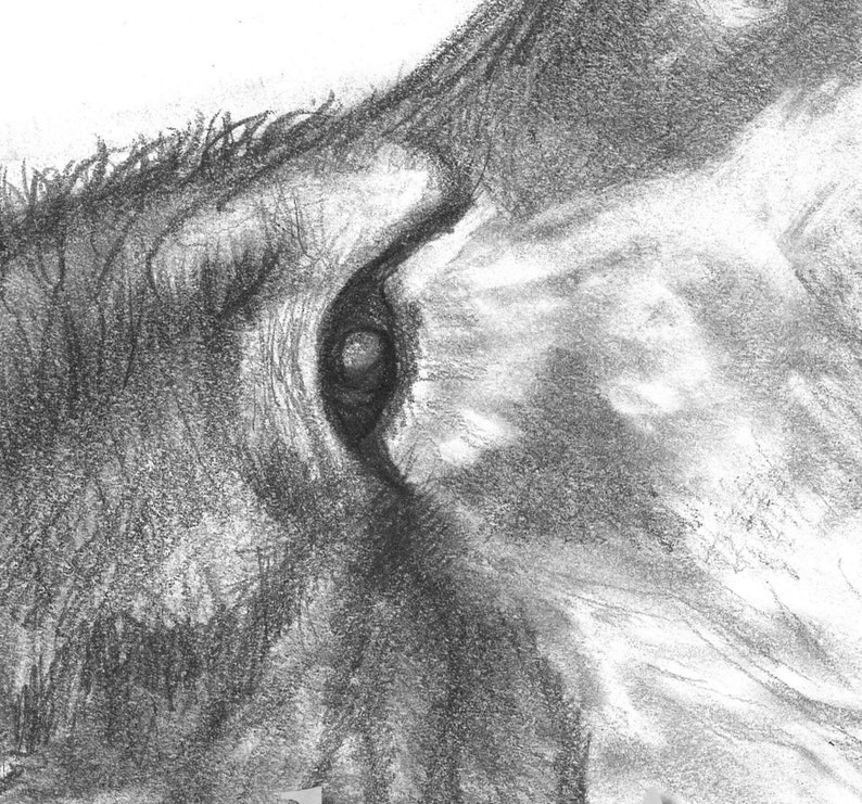 Pencil Drawing Print - You Are A Soul - Day 68 - Etsy