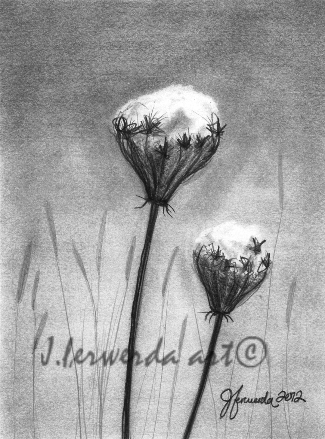 Pencil Drawing Print - Know Thyself - Day 330 - Etsy