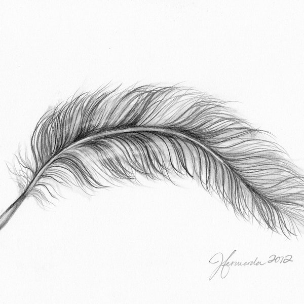 Feather Drawing - Etsy