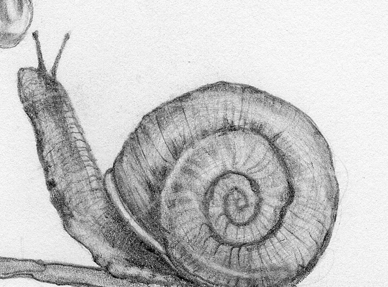 Tomorrow - Pencil Drawing Print - Etsy