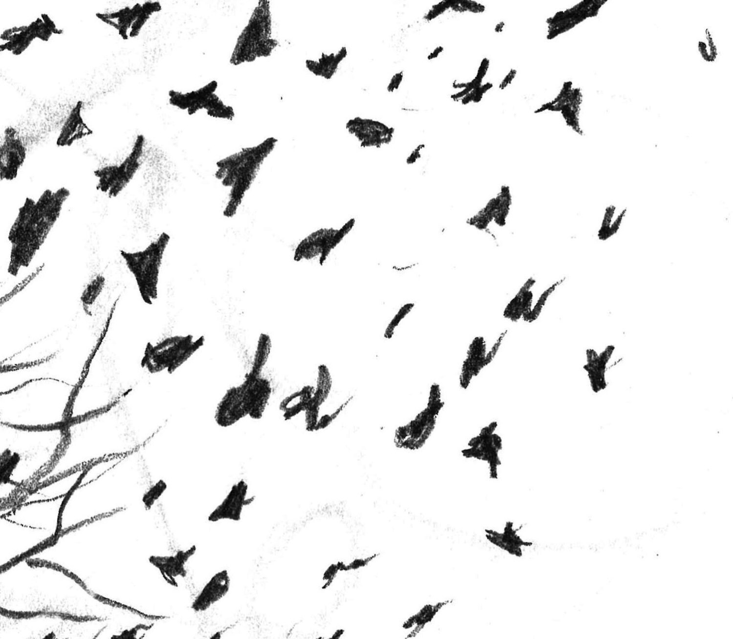 Pencil Drawing Print - Set Free - Day 232 - Etsy