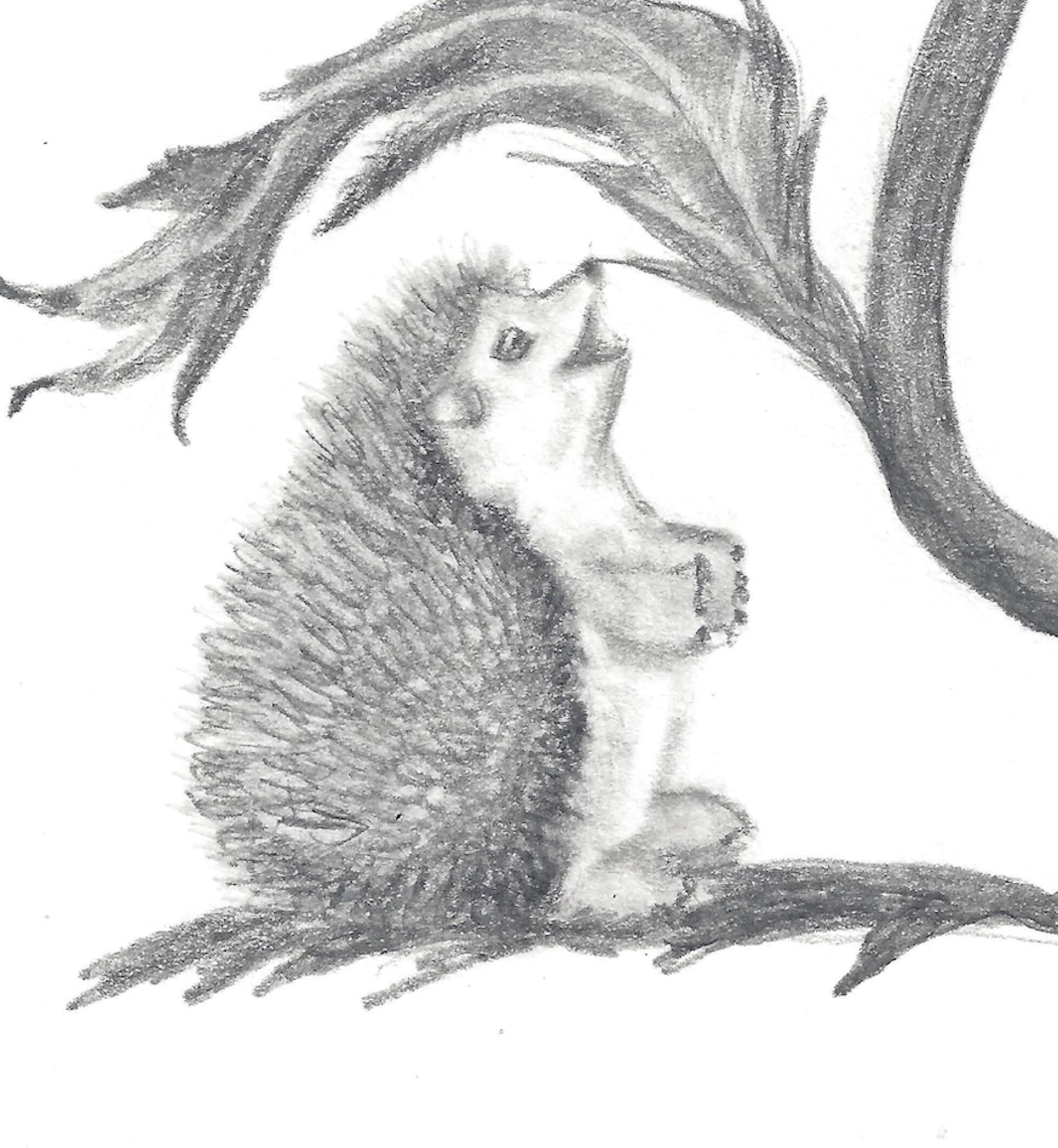 A Contented Heart - Pencil Drawing Print - Etsy