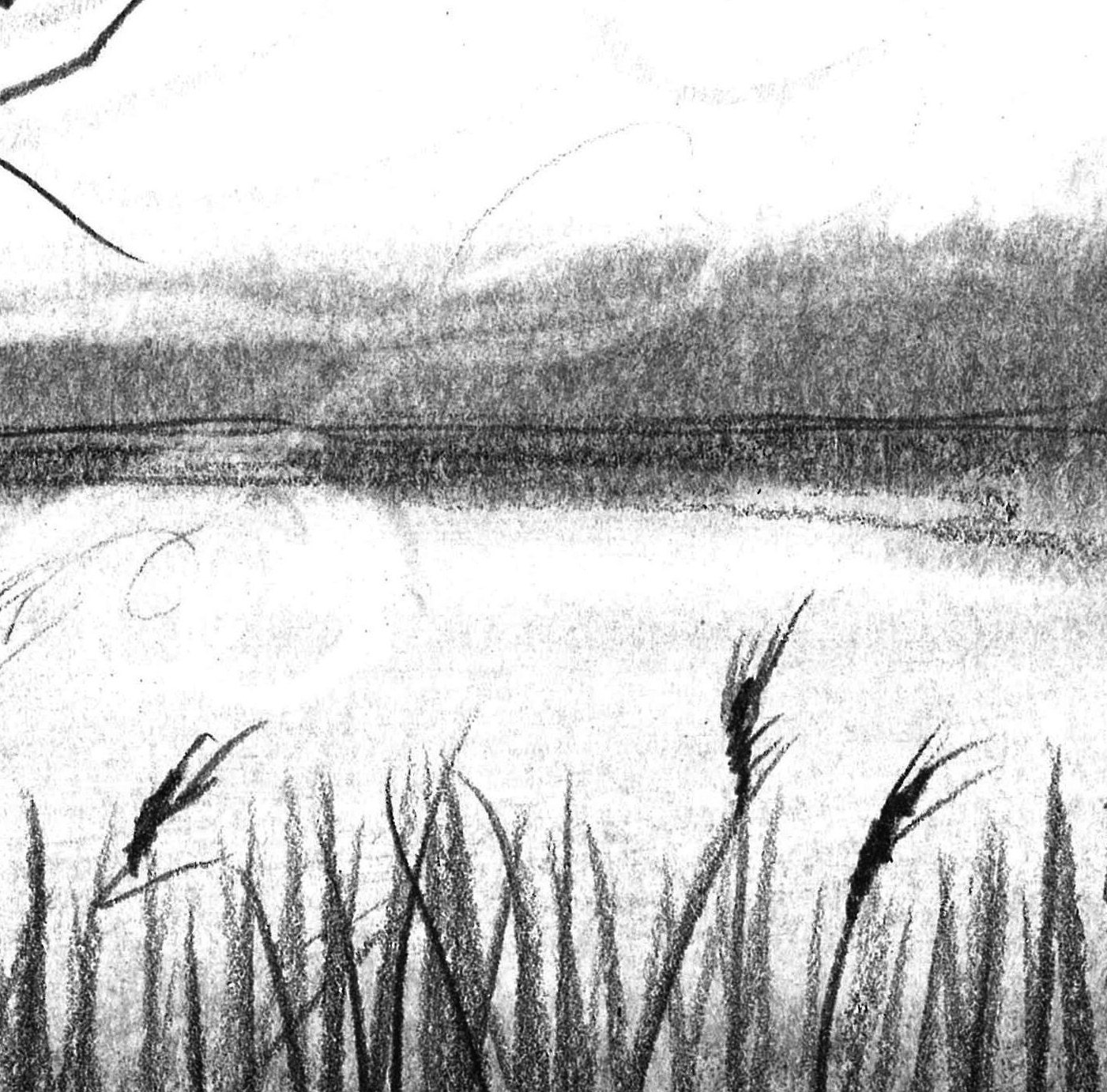 Pencil Drawing Print - Set Free - Day 232 - Etsy