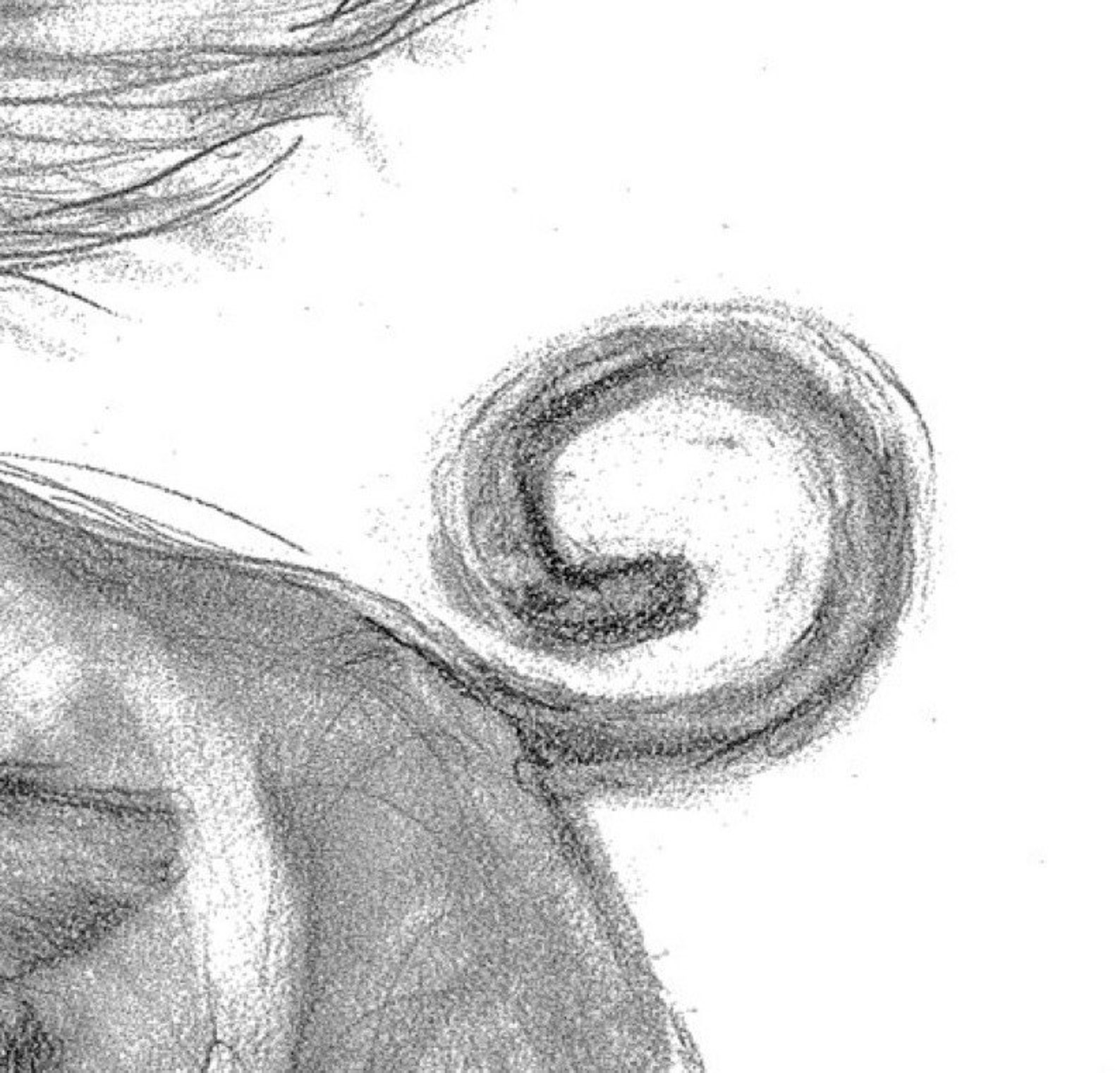 Pencil Drawing Print - When Pigs Fly - Day 173 - Etsy