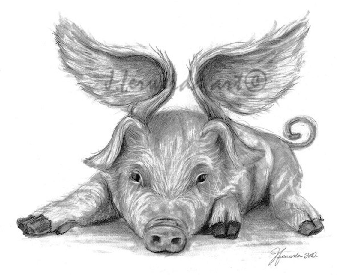 Pencil Drawing Print - When Pigs Fly - Day 173 - Etsy