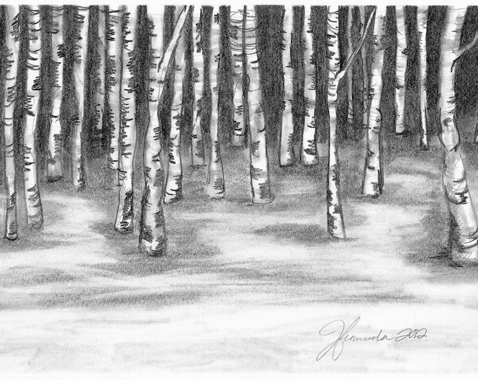 Original Birch Tree Drawing: Handmade Pencil & Ink Artwork. Hand-drawn ...